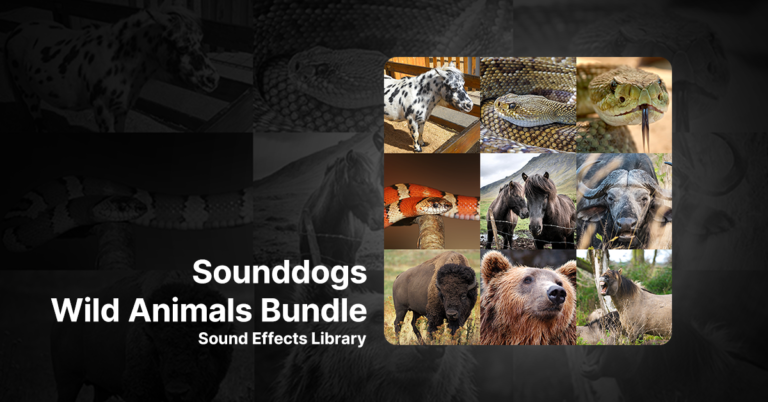 Sounddogs Wild Animals Sound Effects Library | Bears, Horses, Snakes